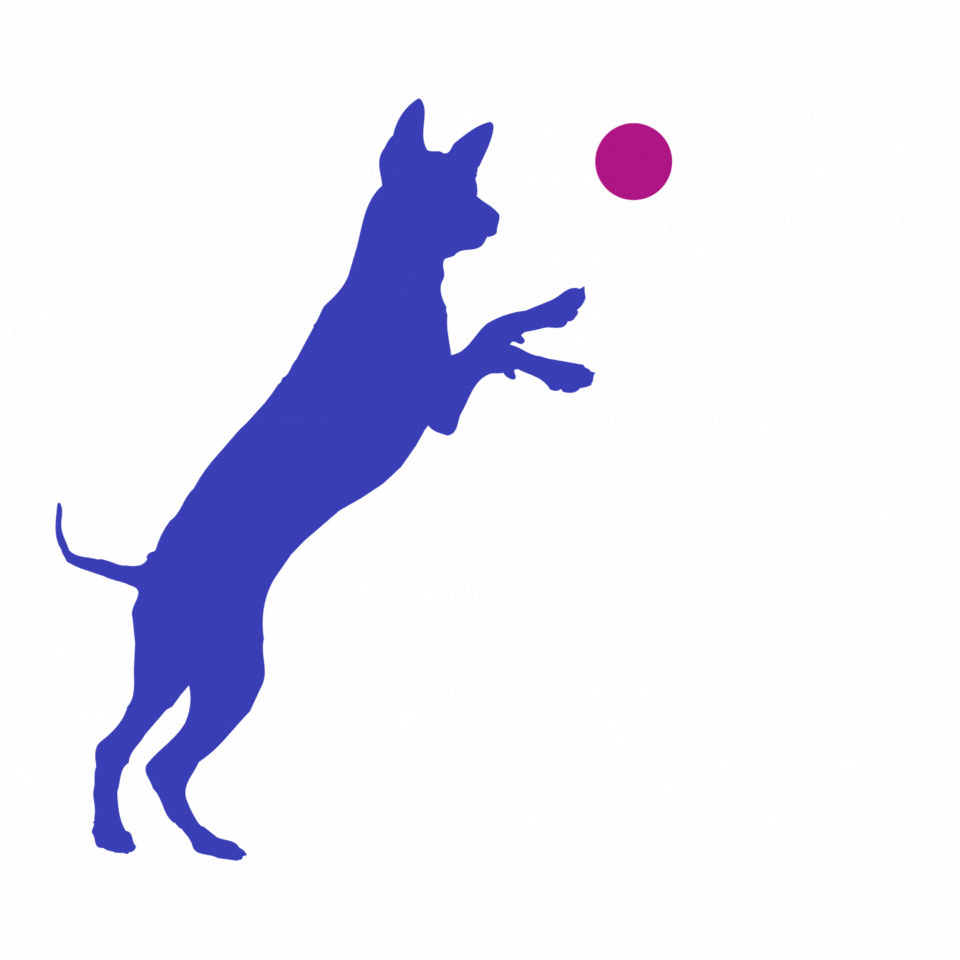 About My Pet Pets Plus Us About My Pet Pets Plus Us